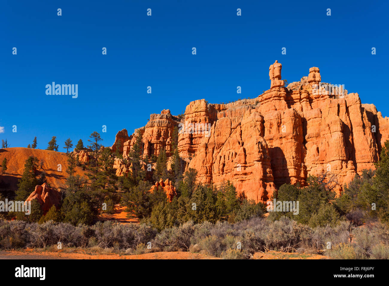 Sunset view of Red canyon in Utah Stock Photo - Alamy