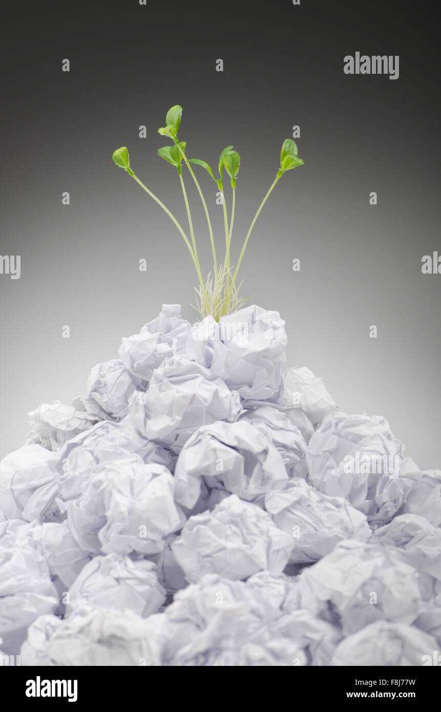 Green seedlings growing out of paper Stock Photo - Alamy