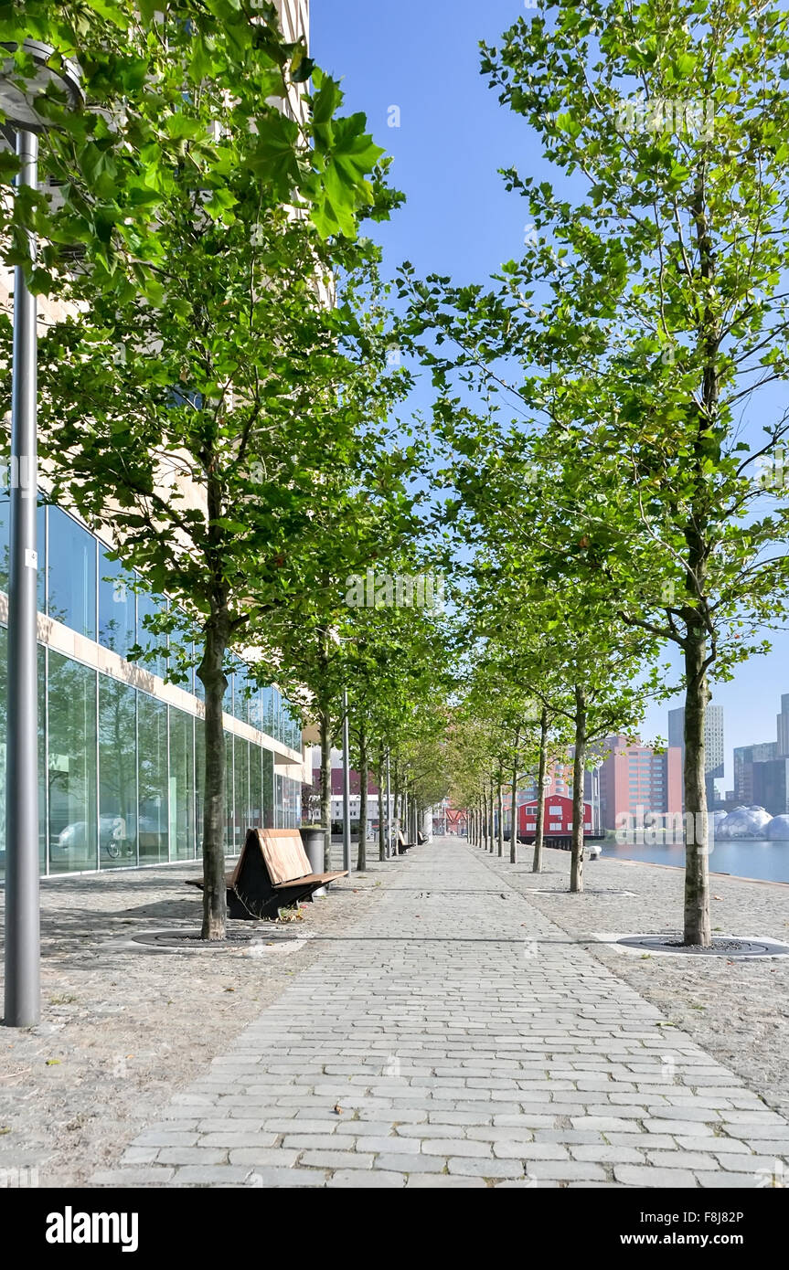paved pedestrian promenade on Maas river in Rotterdam Netherlands ...