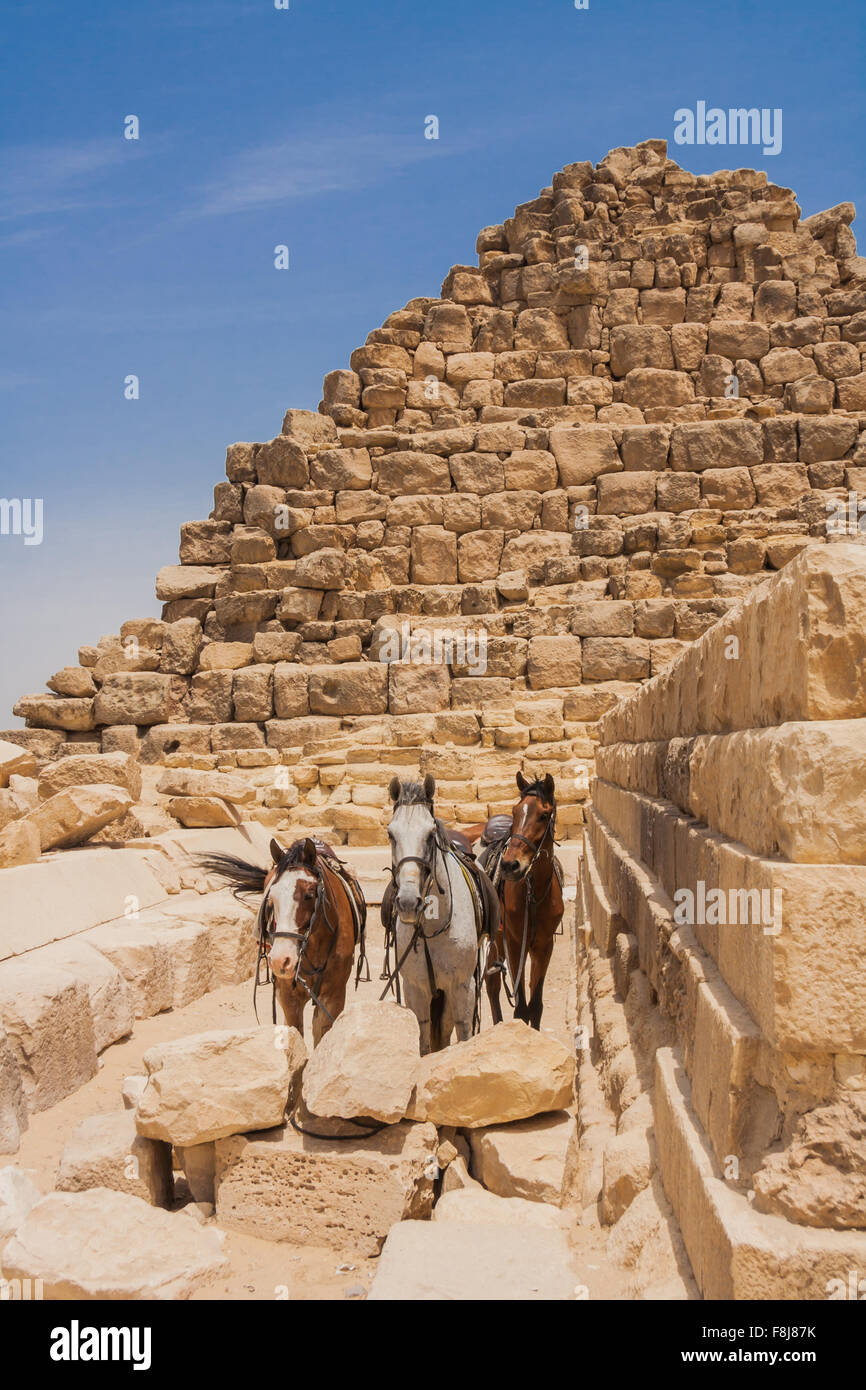 Egyptian oasis giza pyramids in hi-res stock photography and images - Alamy