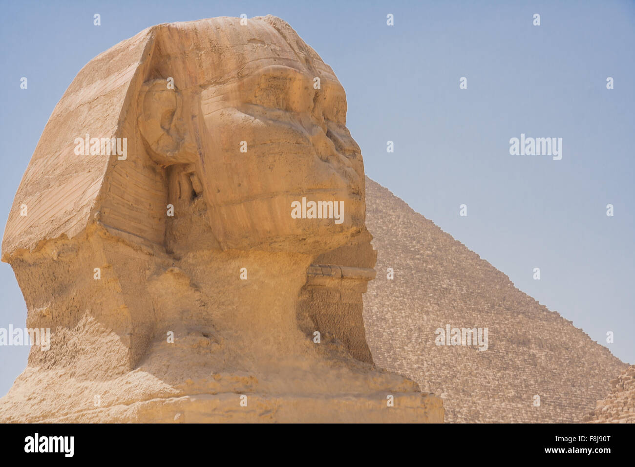 The head of great Sphinx in Giza and pyramides in Cairo, Egypt Stock ...