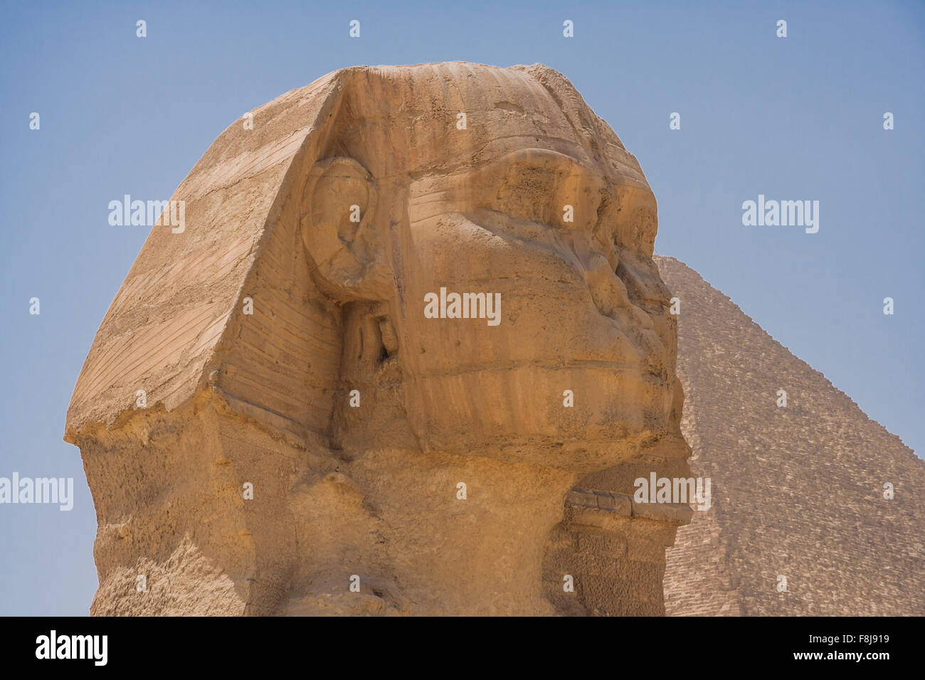 The head of great Sphinx in Giza and pyramides in Cairo, Egypt Stock ...
