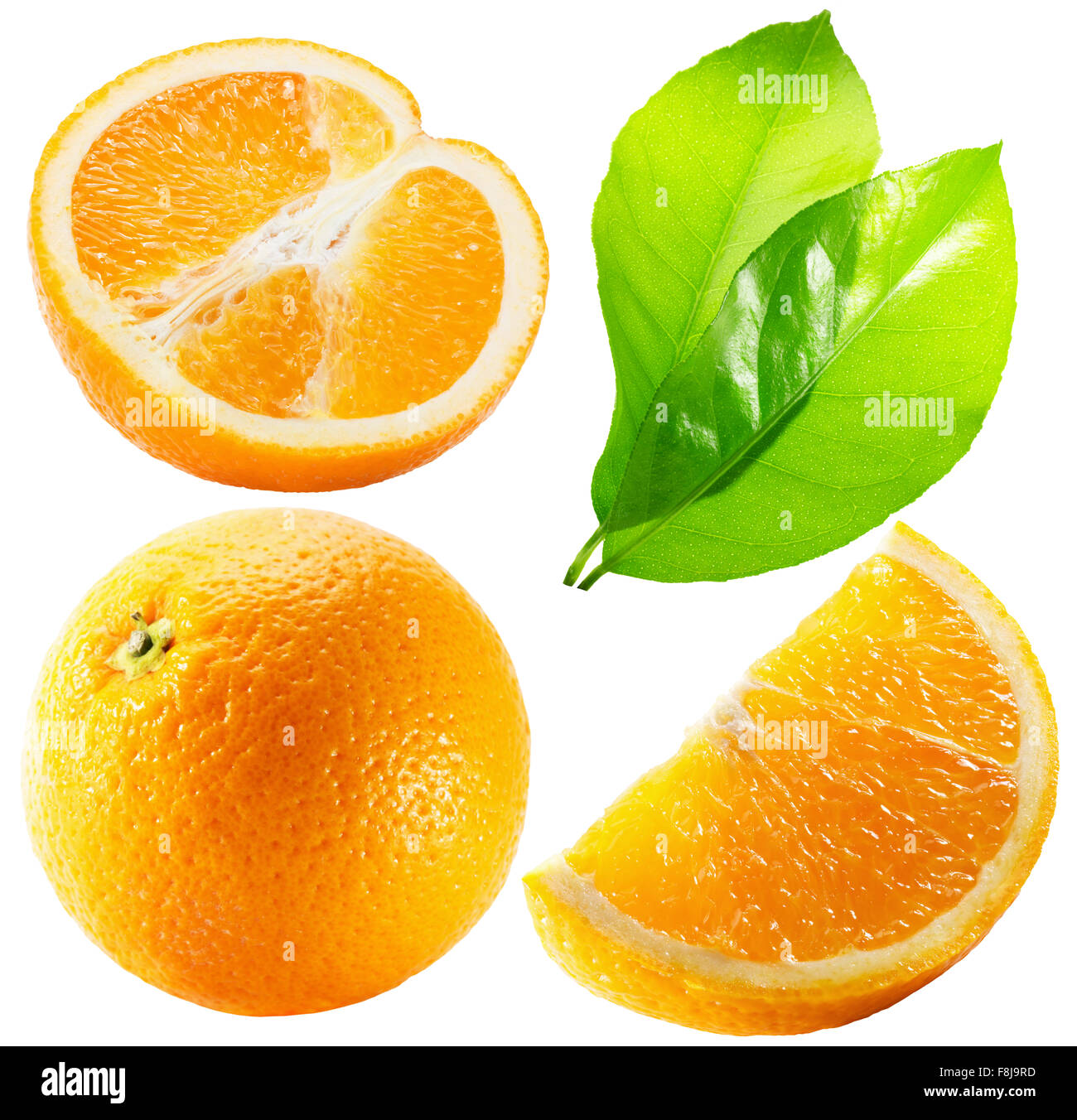 collection of oranges isolated on the white background Stock Photo - Alamy