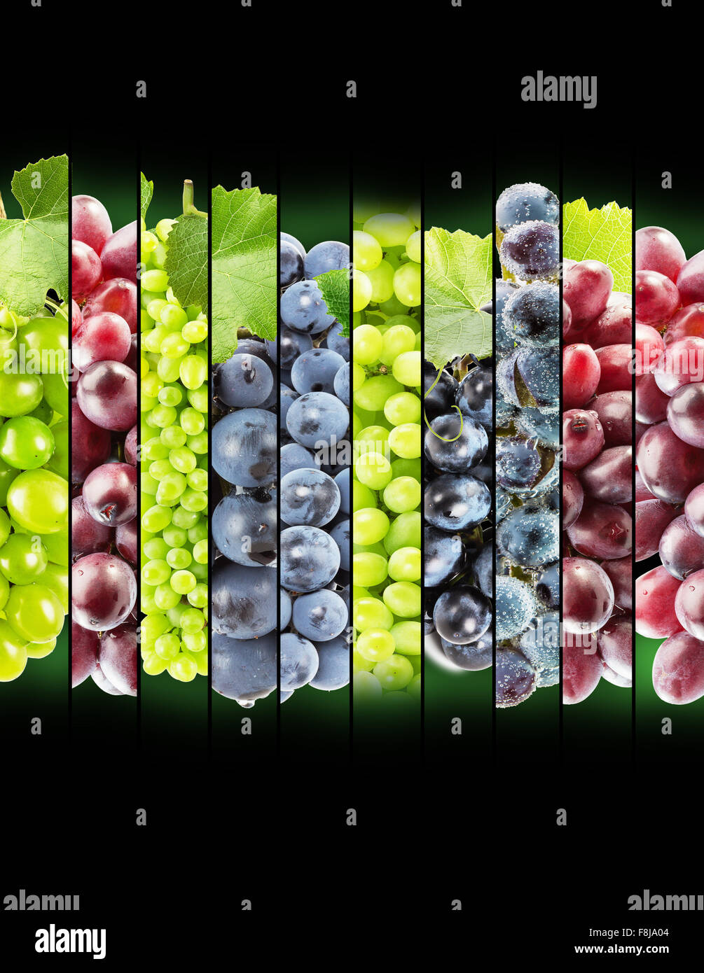 grape stripe collection on the black background Stock Photo - Alamy