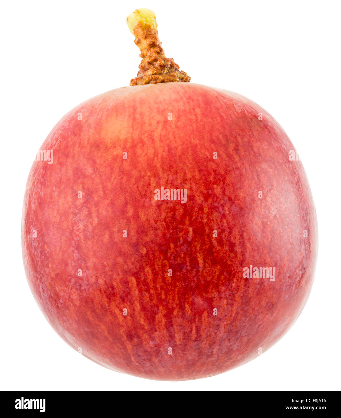 single pink grape isolated on the white background Stock Photo - Alamy