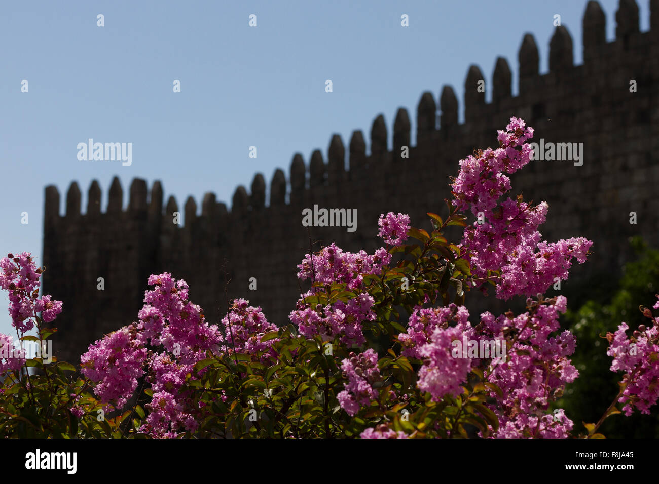 Fernandina´s old city walls with flowers in foreground Stock Photo - Alamy