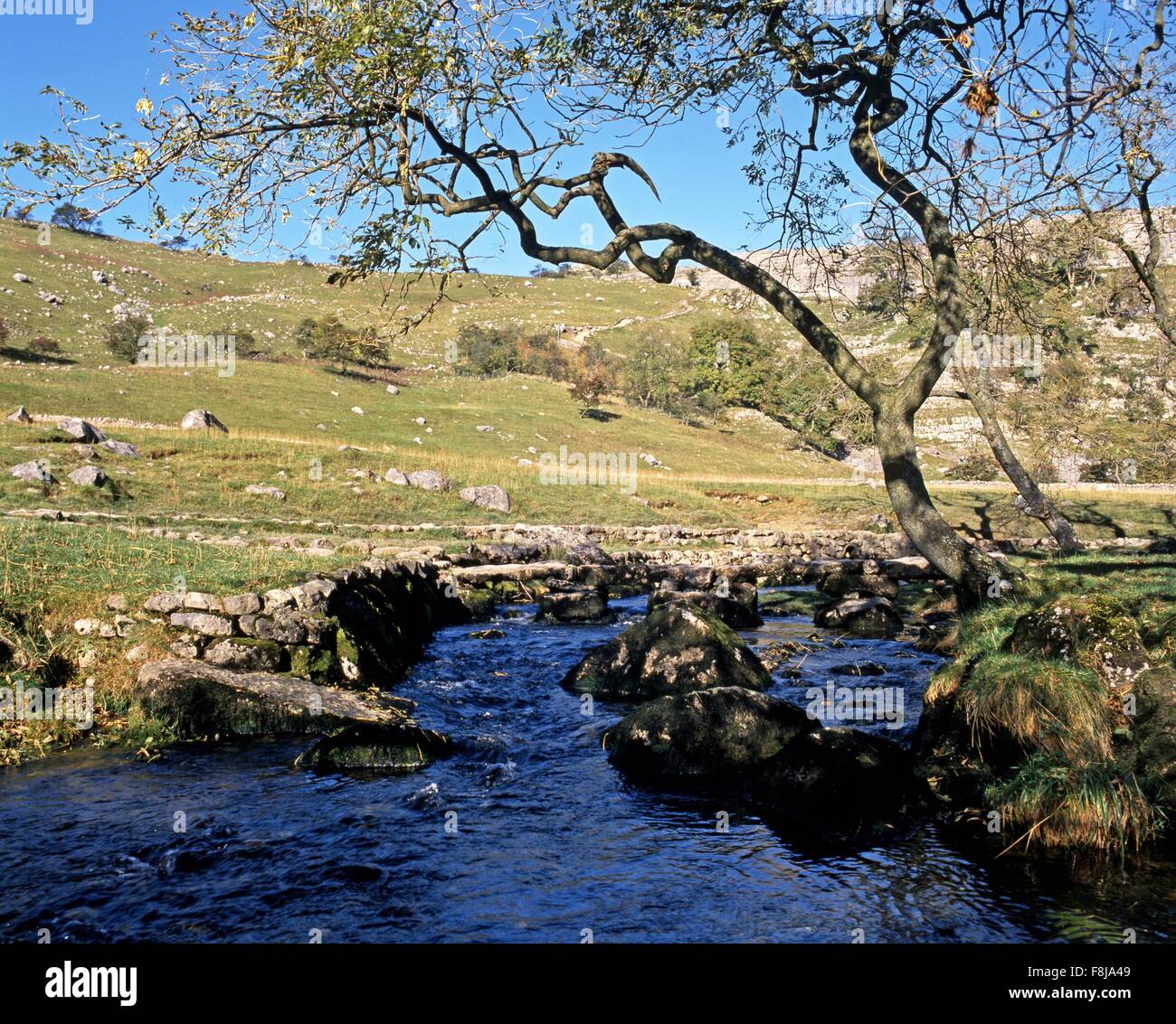 Malham Field View High Resolution Stock Photography and Images - Alamy
