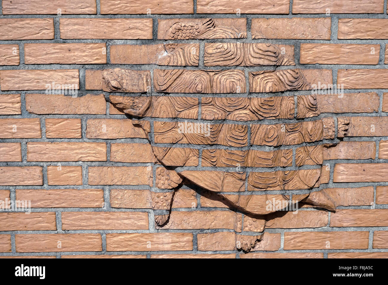 Turtle relief on the wall outside the zoo in Berlin Stock Photo - Alamy