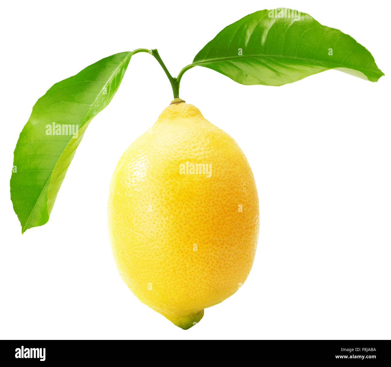 tasty lemon isolated on the white background Stock Photo - Alamy