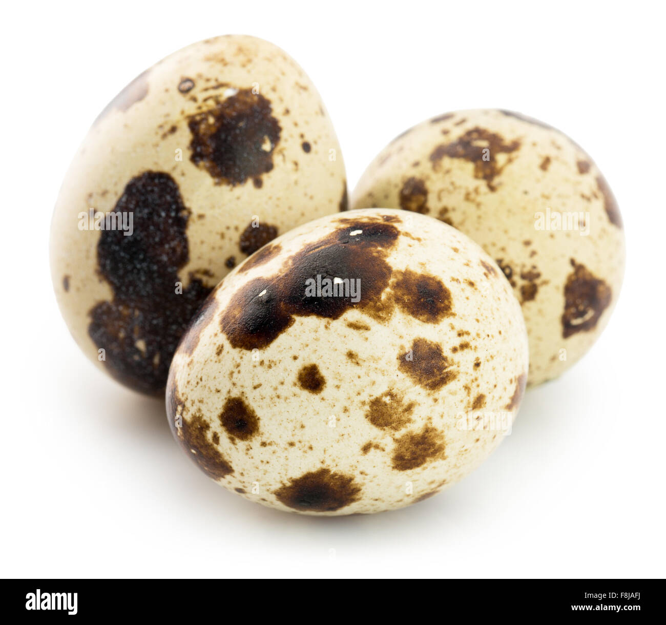 quail eggs isolated on a white background Stock Photo - Alamy