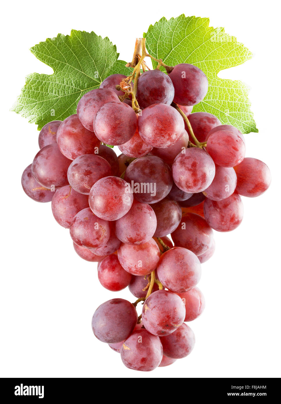 pink grapes isolated on the white background Stock Photo - Alamy