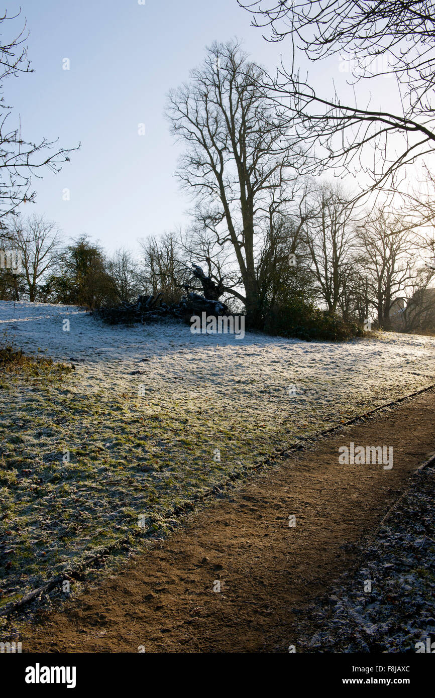 Early morning frost on a cold bright winters day Stock Photo - Alamy