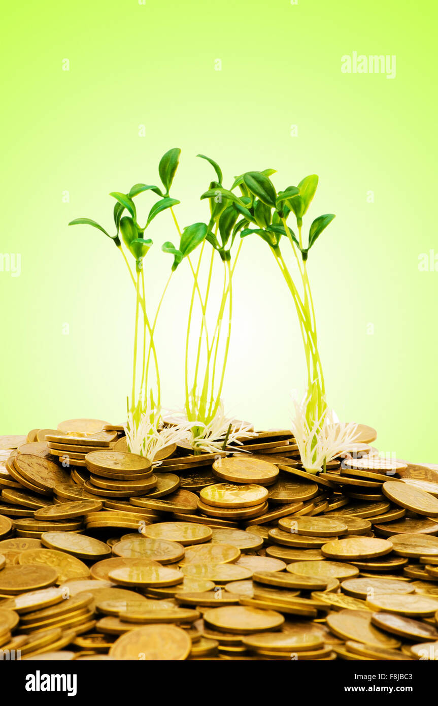 Money growth concept with coins and seedling Stock Photo - Alamy
