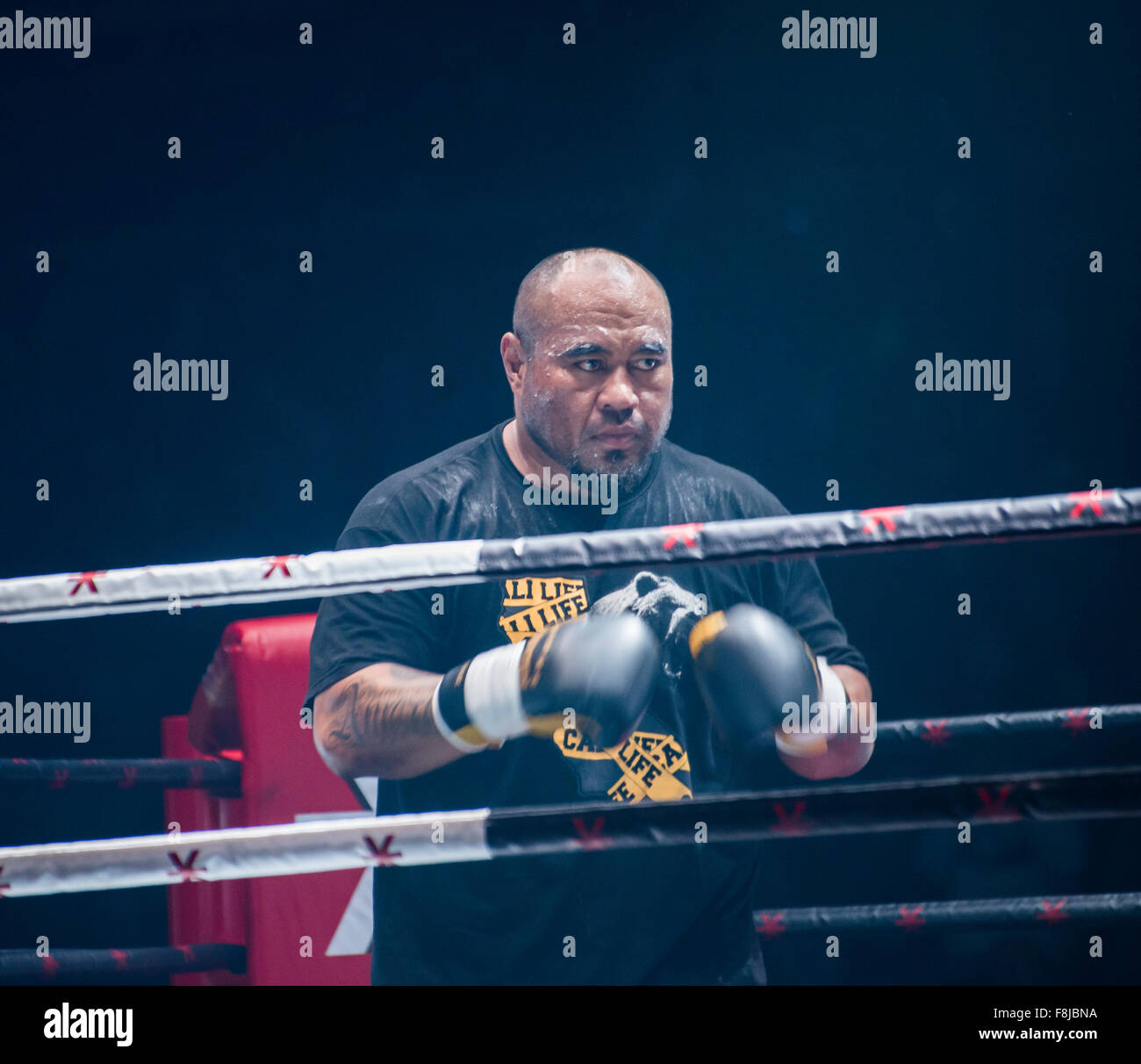 Mighty mo hi-res stock photography and images - Alamy