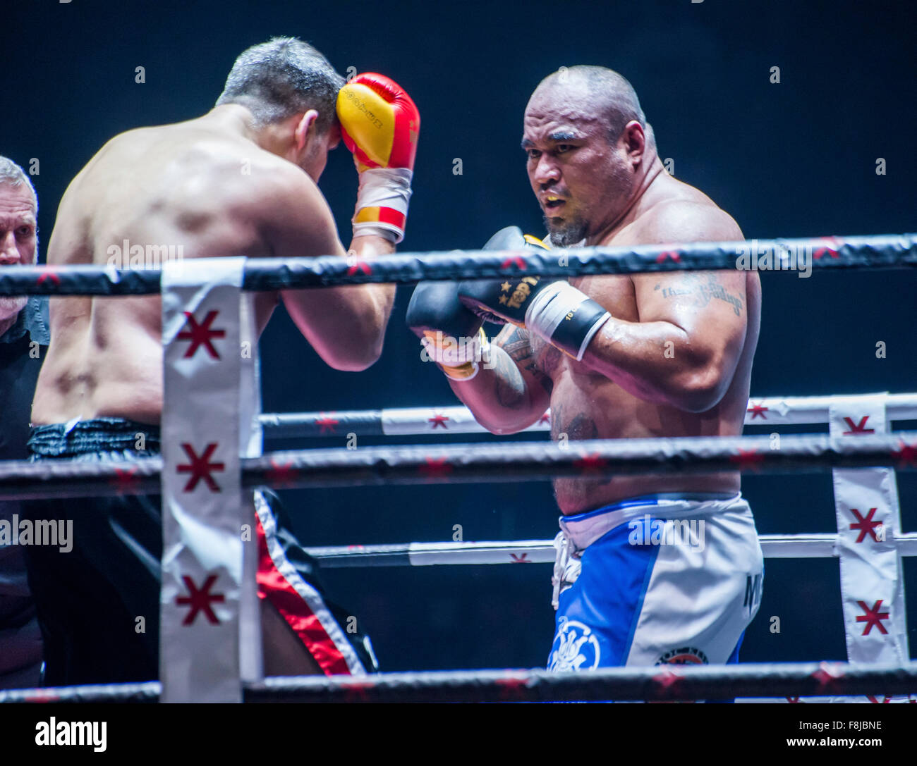Gibu hi-res stock photography and images - Alamy