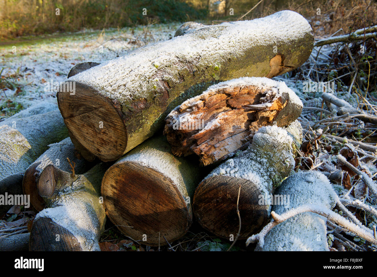 Christmas log pile hi-res stock photography and images - Alamy