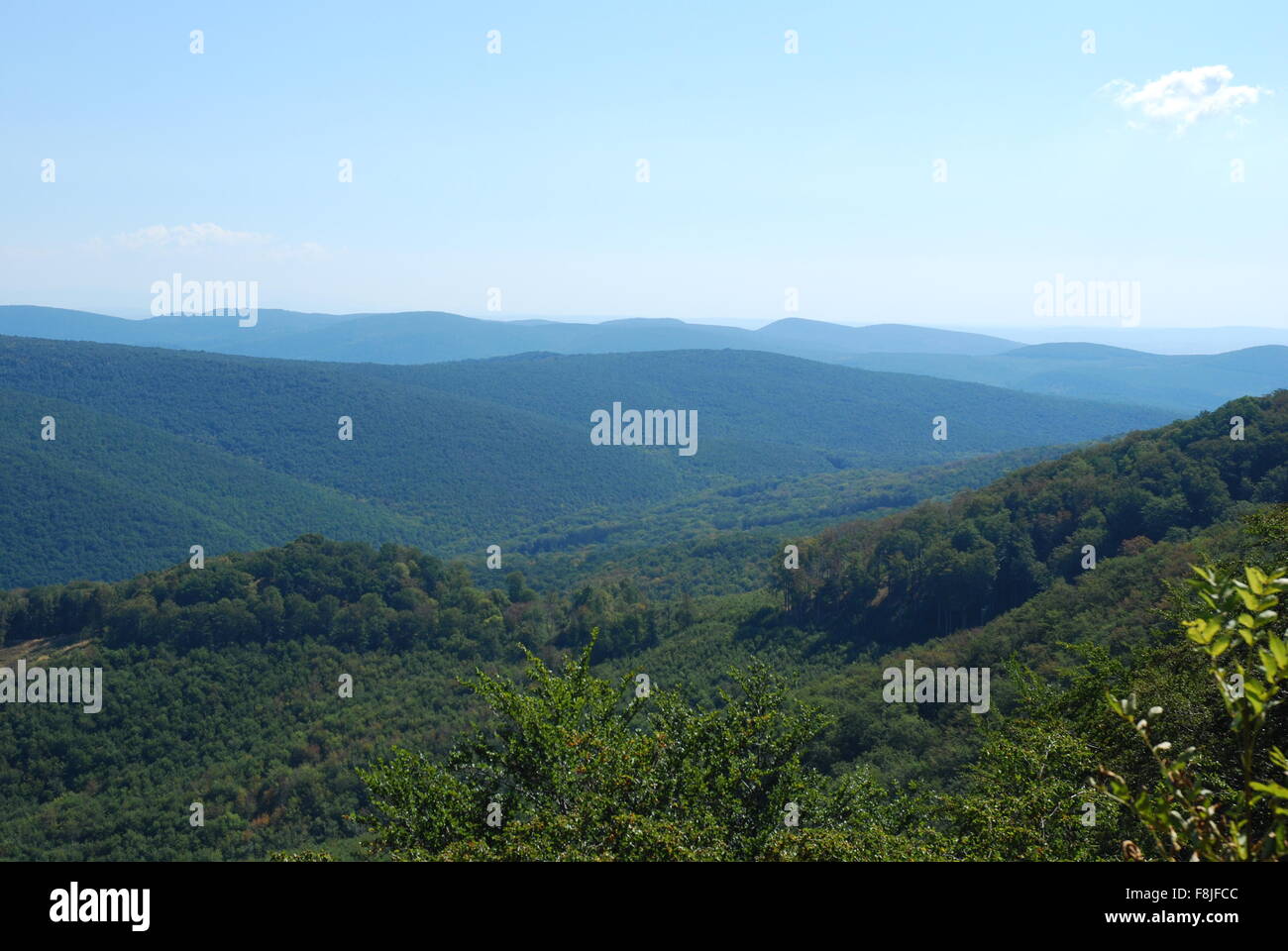 Nature and landscape Stock Photo - Alamy
