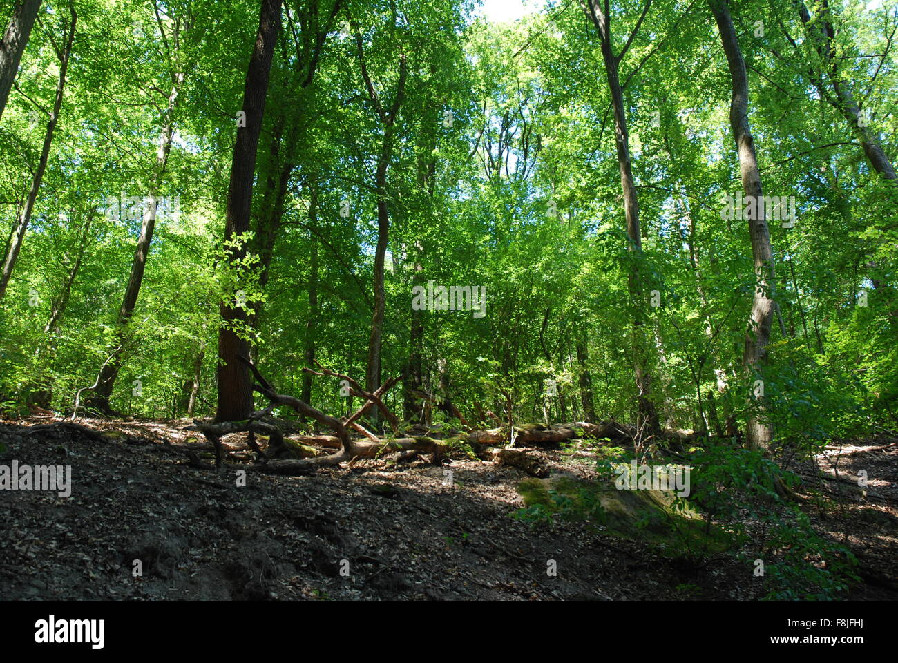 Nature and landscape Stock Photo - Alamy