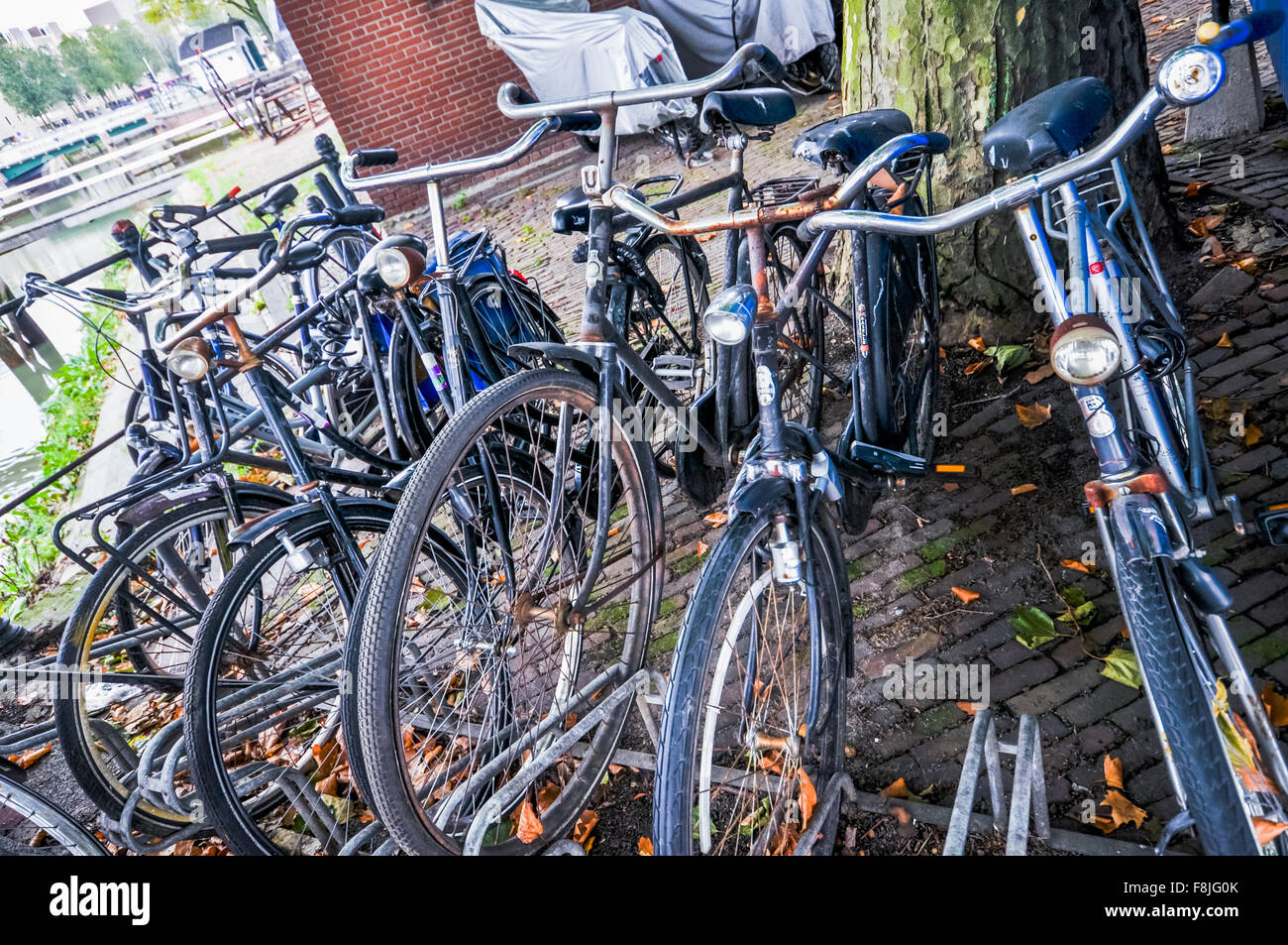 Old holland road hi-res stock photography and images - Alamy