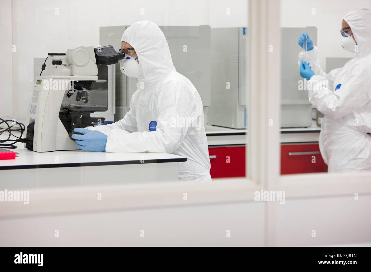 Scientist using microscope in laboratory Stock Photo - Alamy