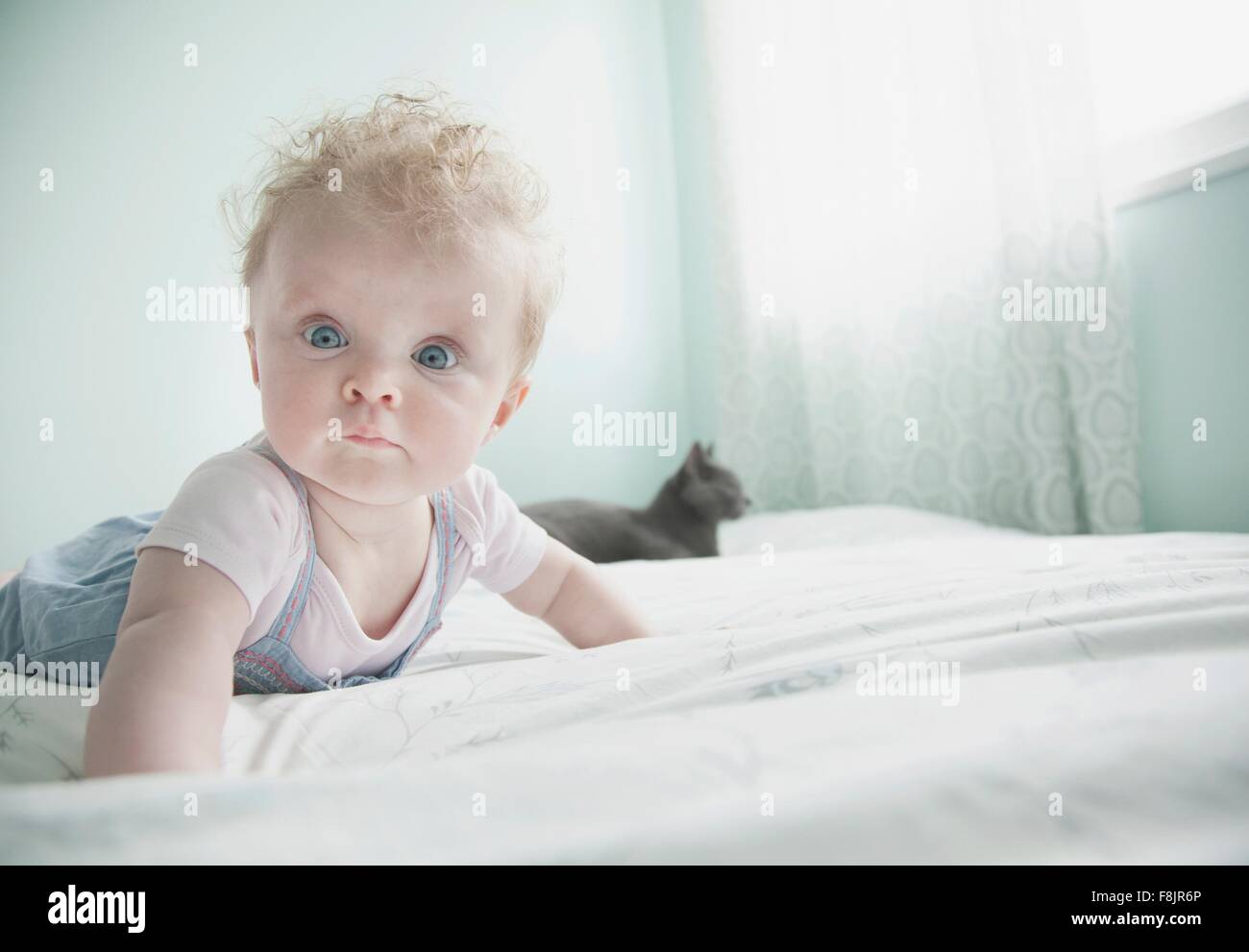 Portrait of baby girl lying on front Stock Photo - Alamy