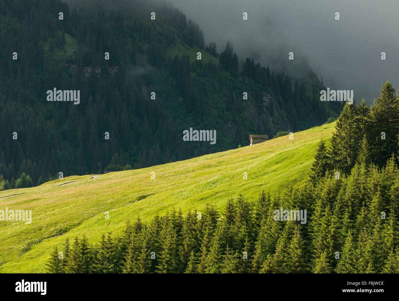 Distant house in alpine meadow, Canton Graubunden, Switzerland Stock ...