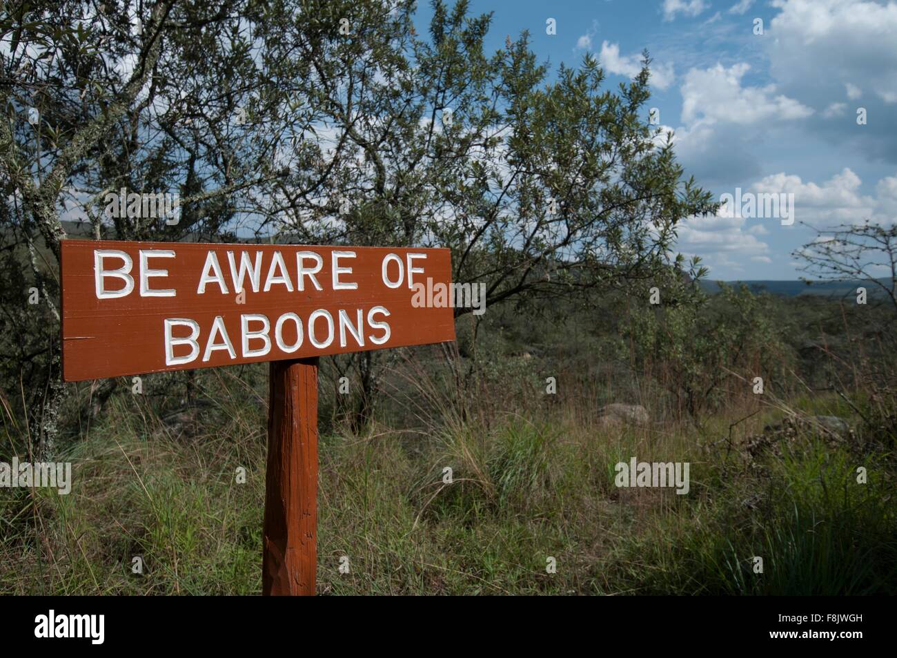Baboon warning sign, Rift Valley, Kenya Stock Photo - Alamy