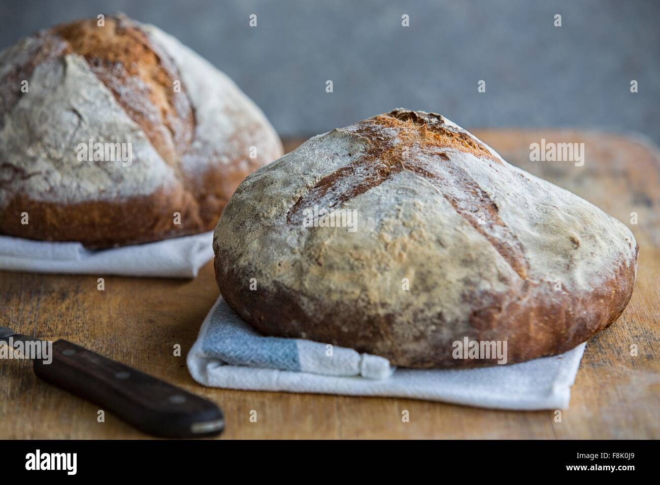 Panella bread hi-res stock photography and images - Alamy