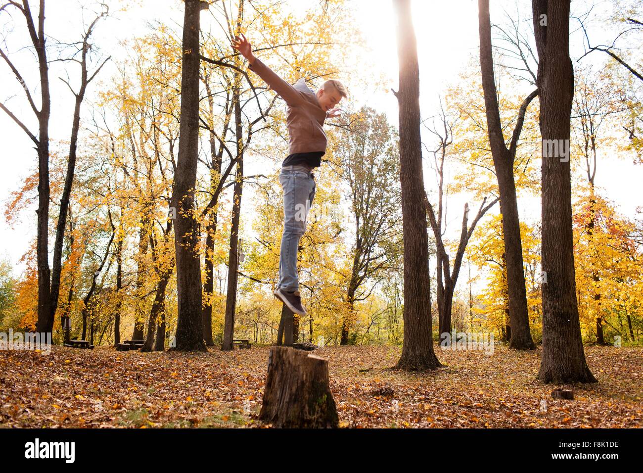 Teenage boy jumping on tree stump in autumn forest Stock Photo - Alamy