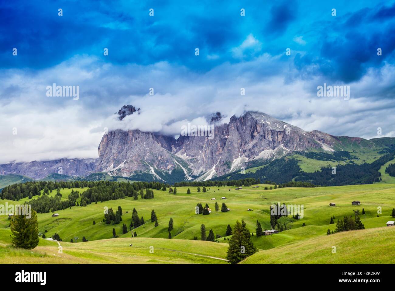Fields and distant rock formation, Dolomites, Italy Stock Photo - Alamy