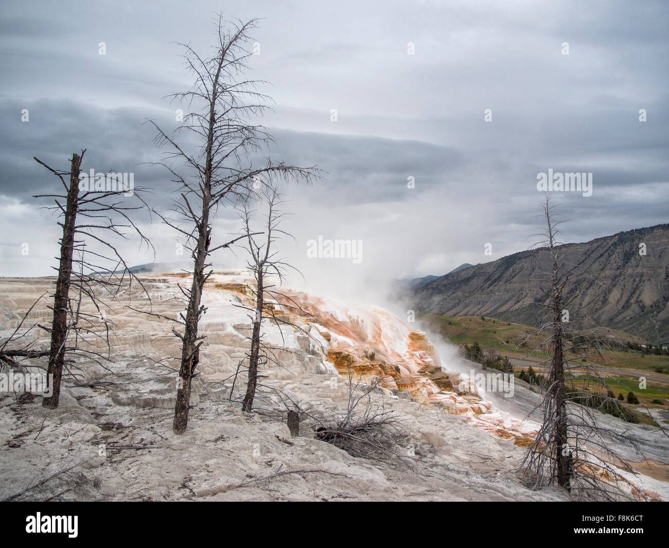 Mammoth hot springs and terraces of calcium carbon deposit, Yellowstone ...