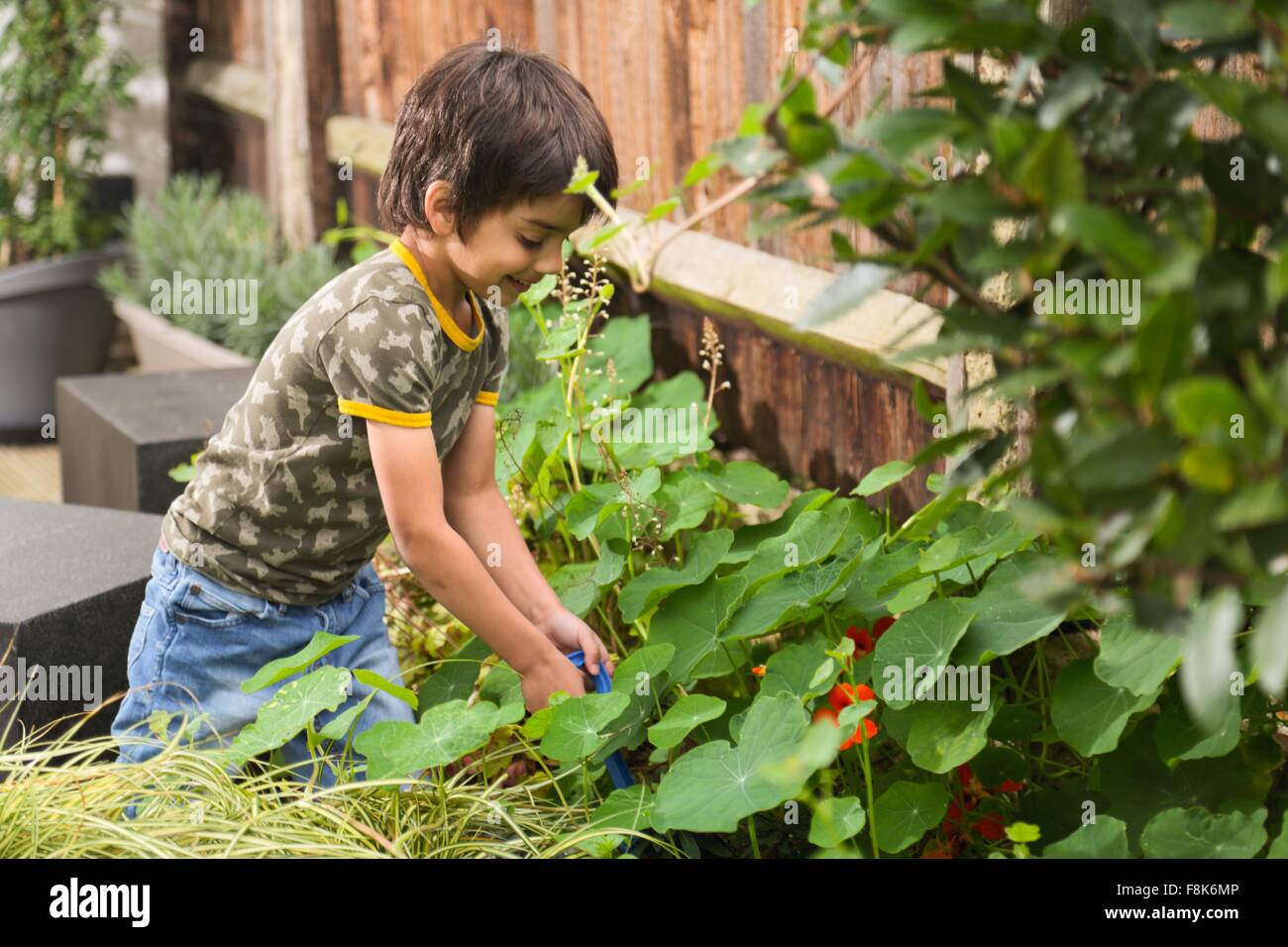 Children digging in garden hi-res stock photography and images - Alamy