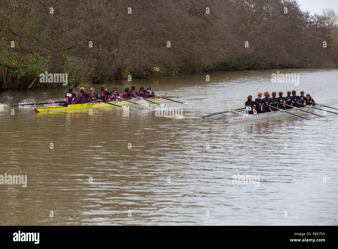 UBBC Head race, rowing event 2015 Stock Photo - Alamy