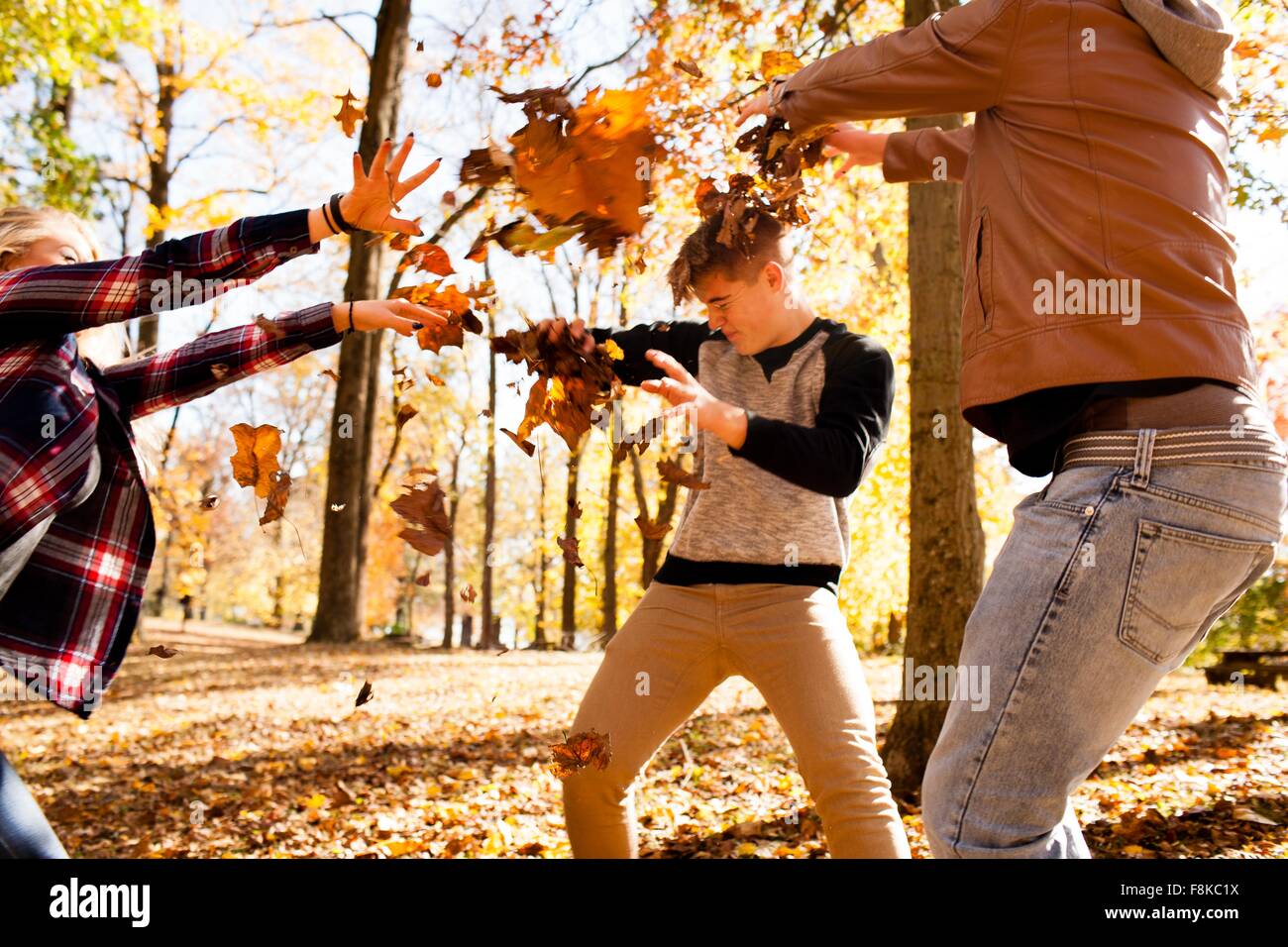 Young Woman Two Teenage Brothers Stock Photos & Young Woman Two Teenage ...