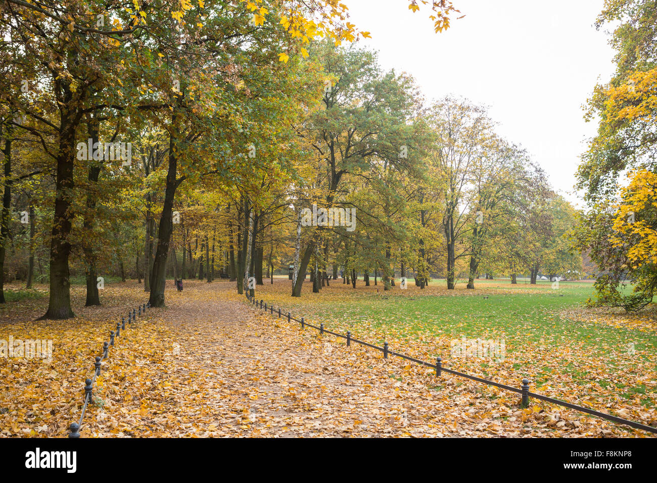Berlin fallen leaves hi-res stock photography and images - Alamy