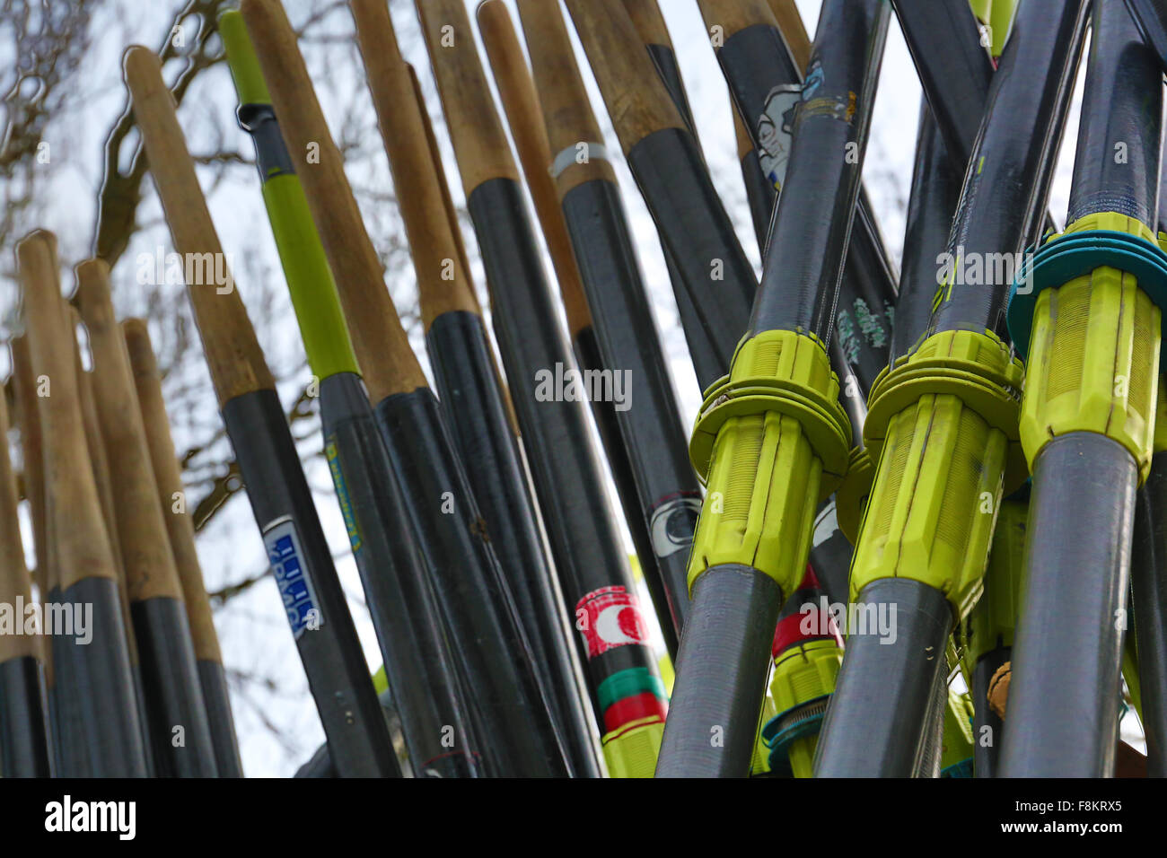 A rack of rowing oars Stock Photo - Alamy