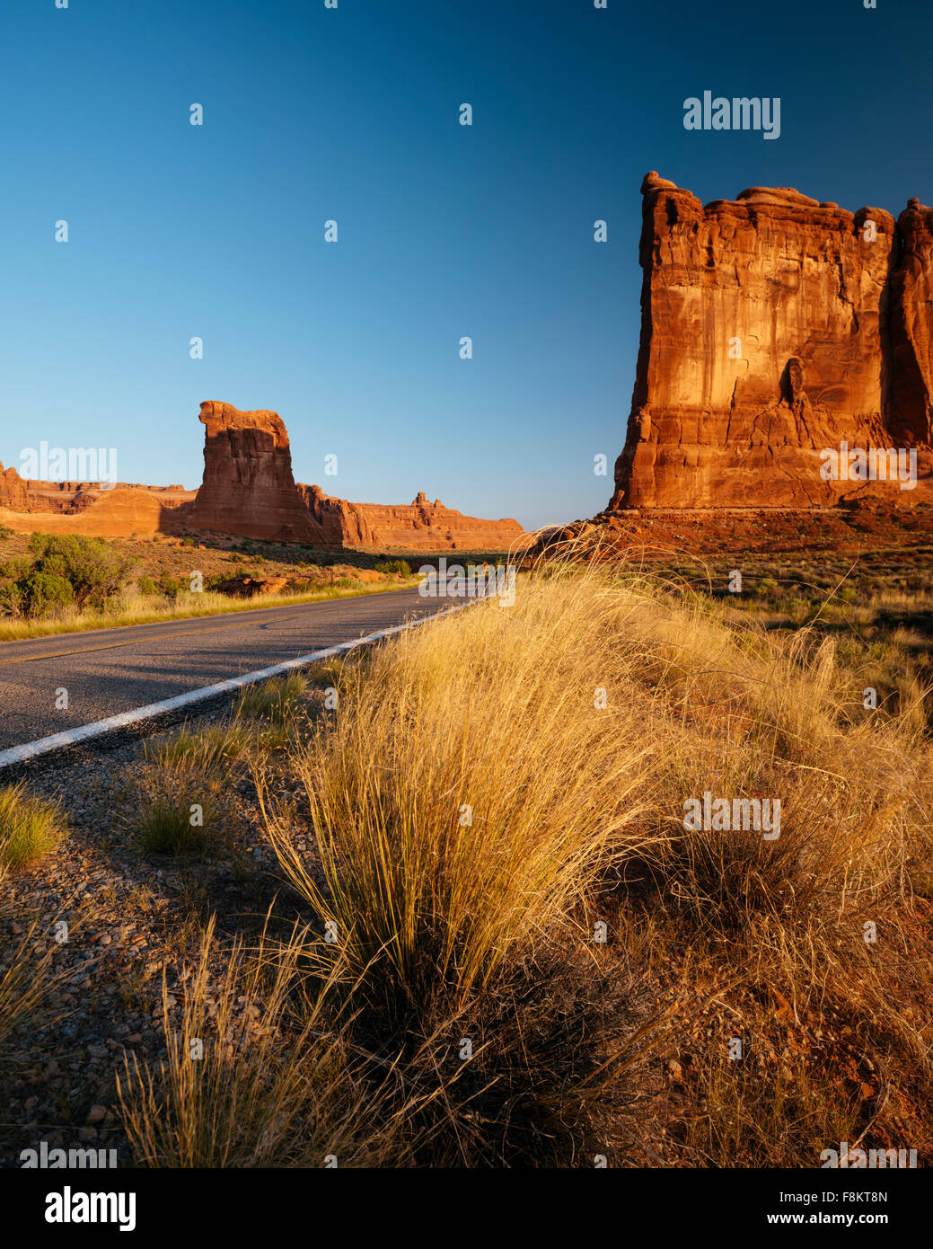 Courthouse Towers at dawn, Arches National Park, Utah, USA Stock Photo ...