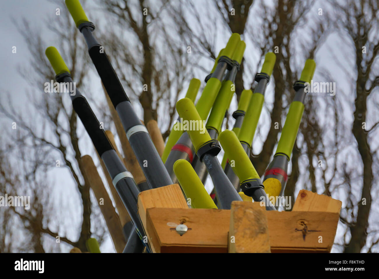 A rack of rowing oars Stock Photo - Alamy