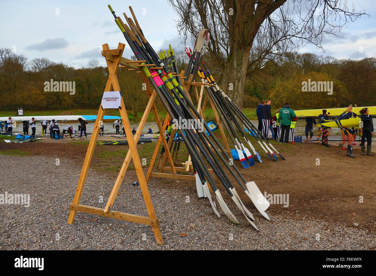 A rack of rowing oars Stock Photo - Alamy