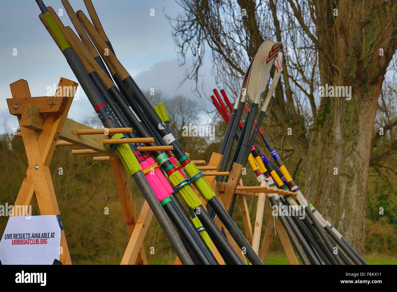 A rack of rowing oars Stock Photo - Alamy
