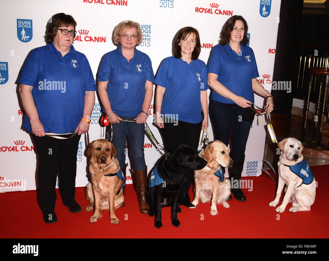 London, UK. Guide dog puppies at The Guide Dog of the Year Awards at ...
