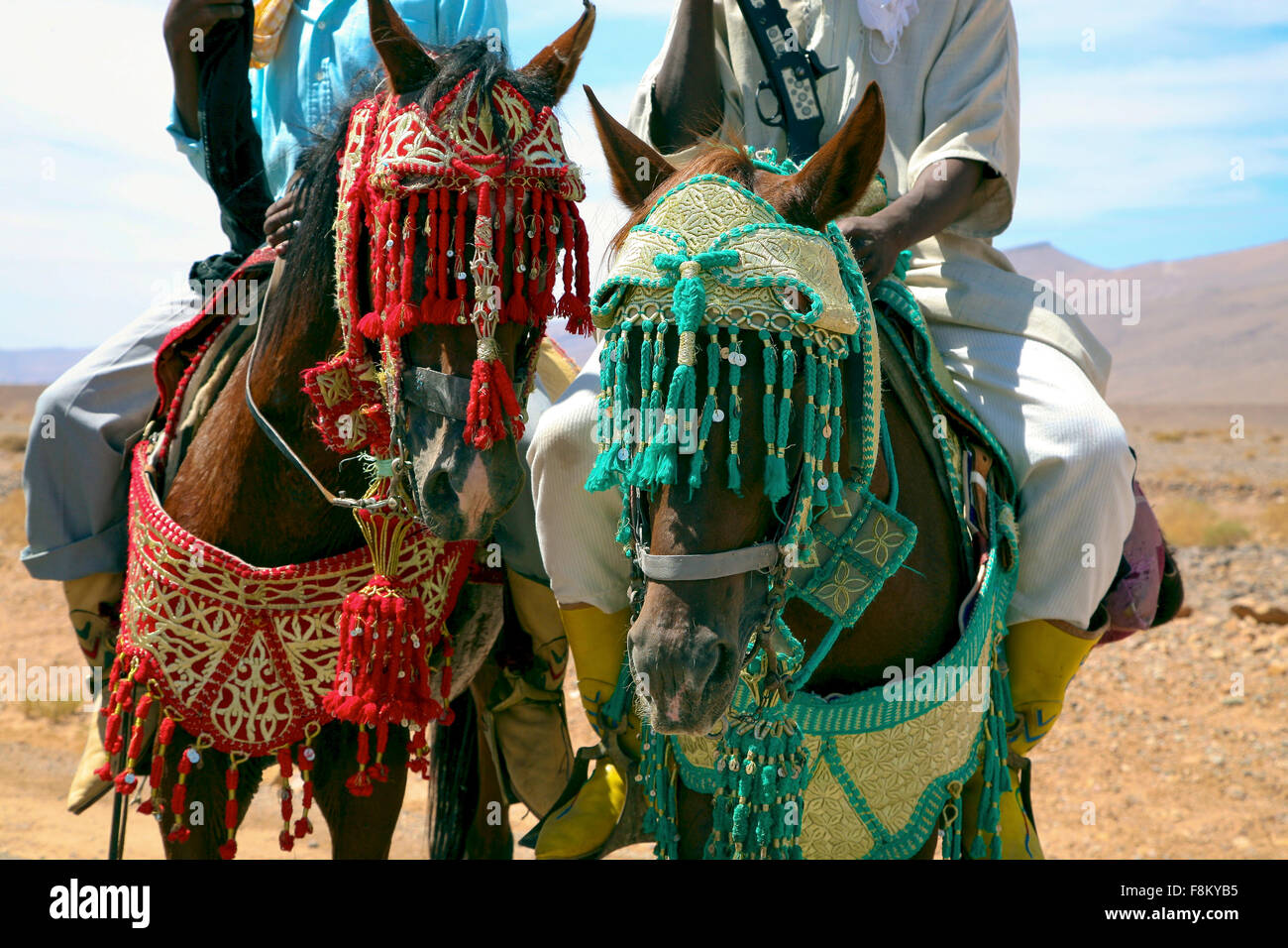 Moroccan rider on the road to Marrakesh on their horses Stock Photo - Alamy