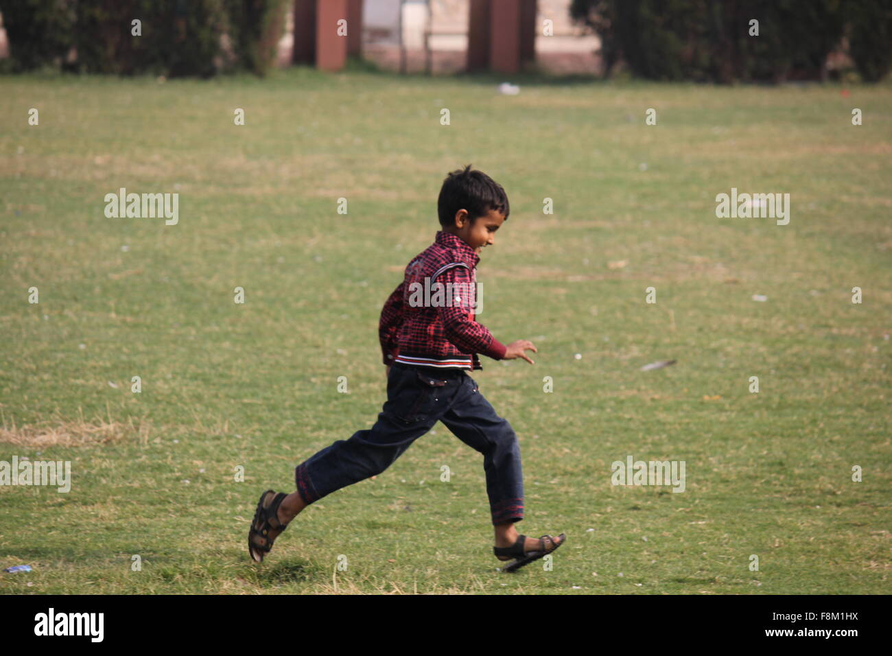 DELHI, INDIA - NOV.25: happy Indian child running in the grass, in the ...