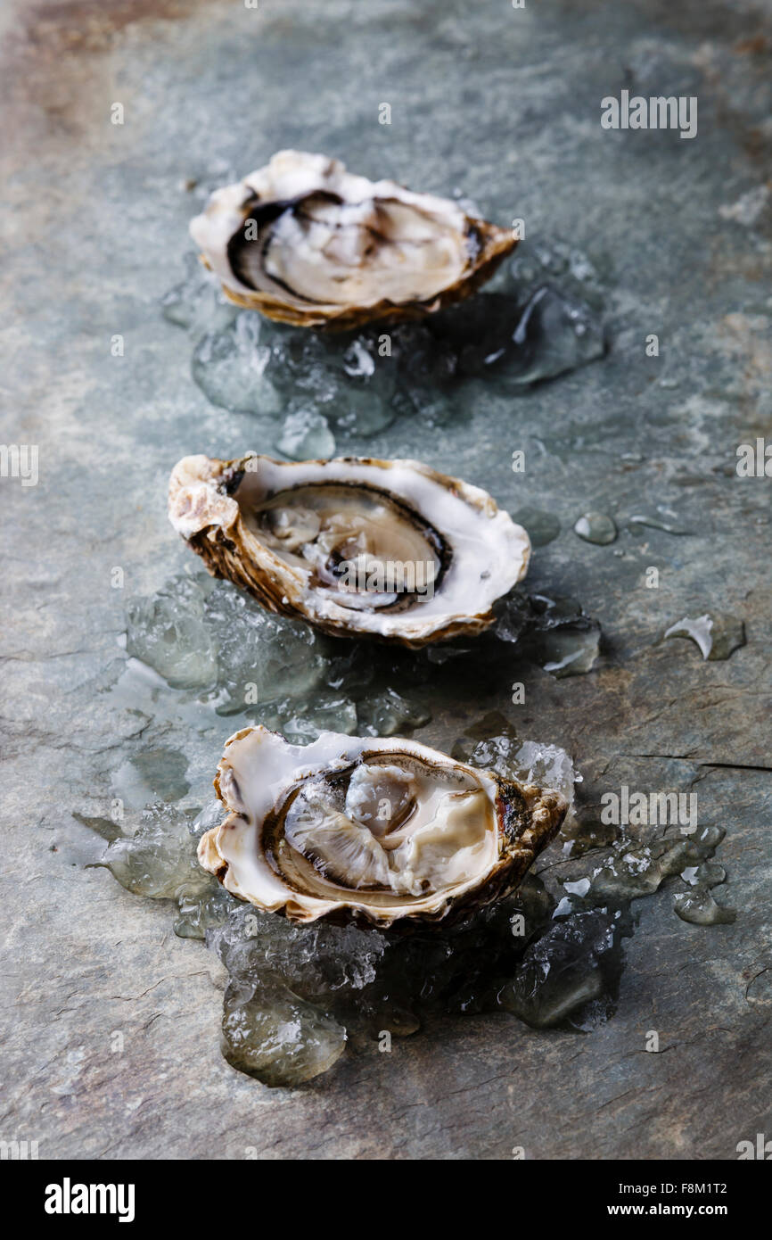 Fines de claire oysters hi-res stock photography and images - Alamy