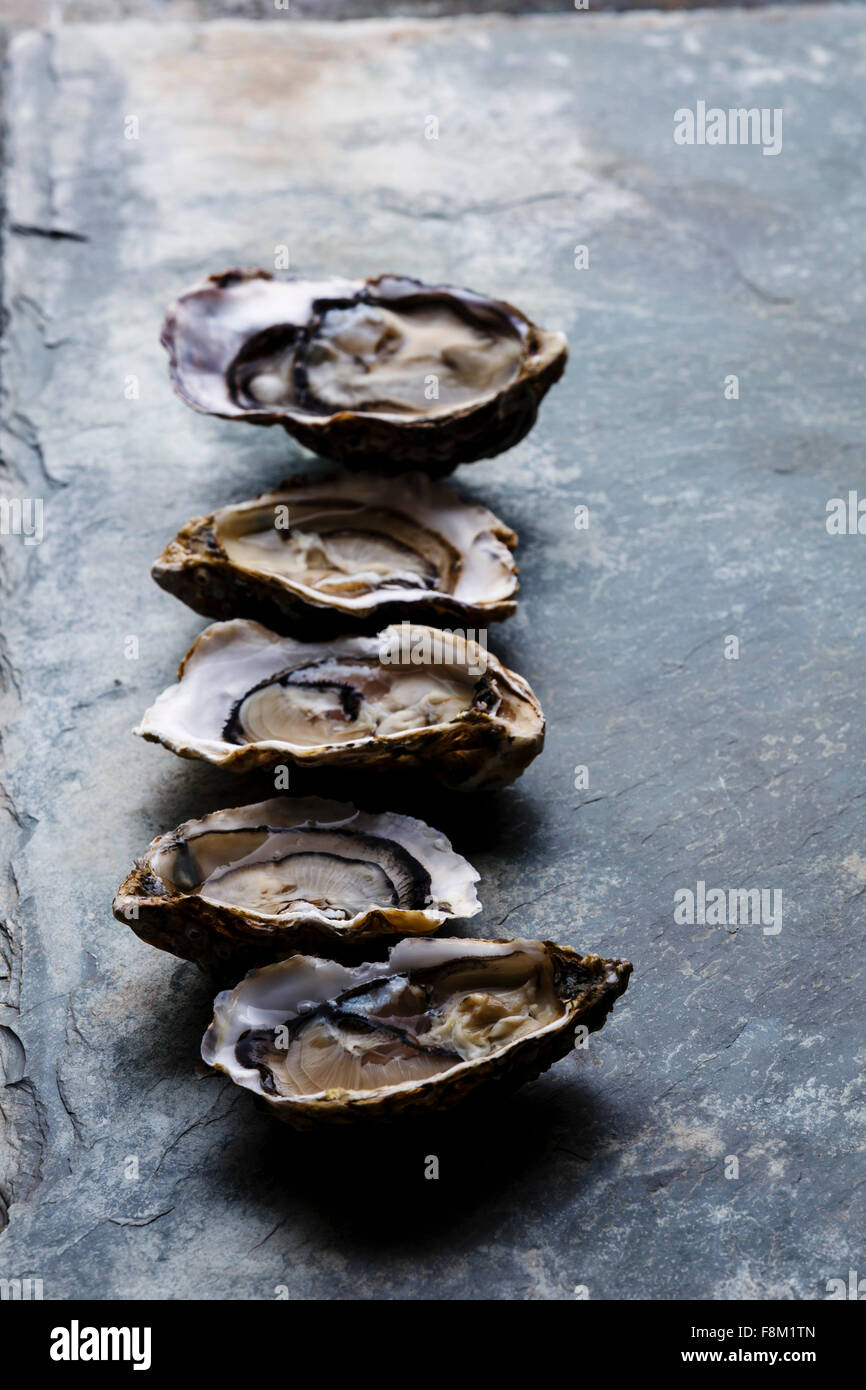 Open Oysters Fines de Claire on stone plate background Stock Photo - Alamy