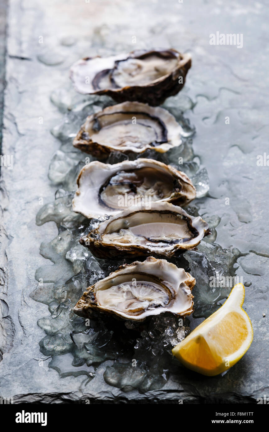 Fines de claire oysters hi-res stock photography and images - Alamy
