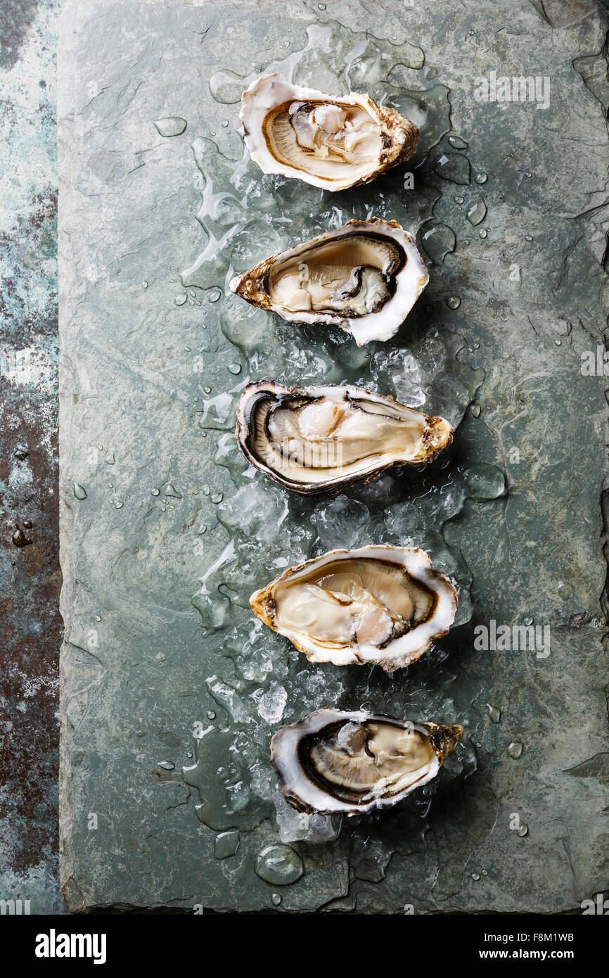 Open Oysters Fines de Claire on stone plate with ice Stock Photo - Alamy
