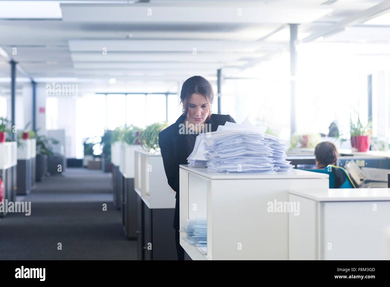 Administrative staff working in office Stock Photo - Alamy