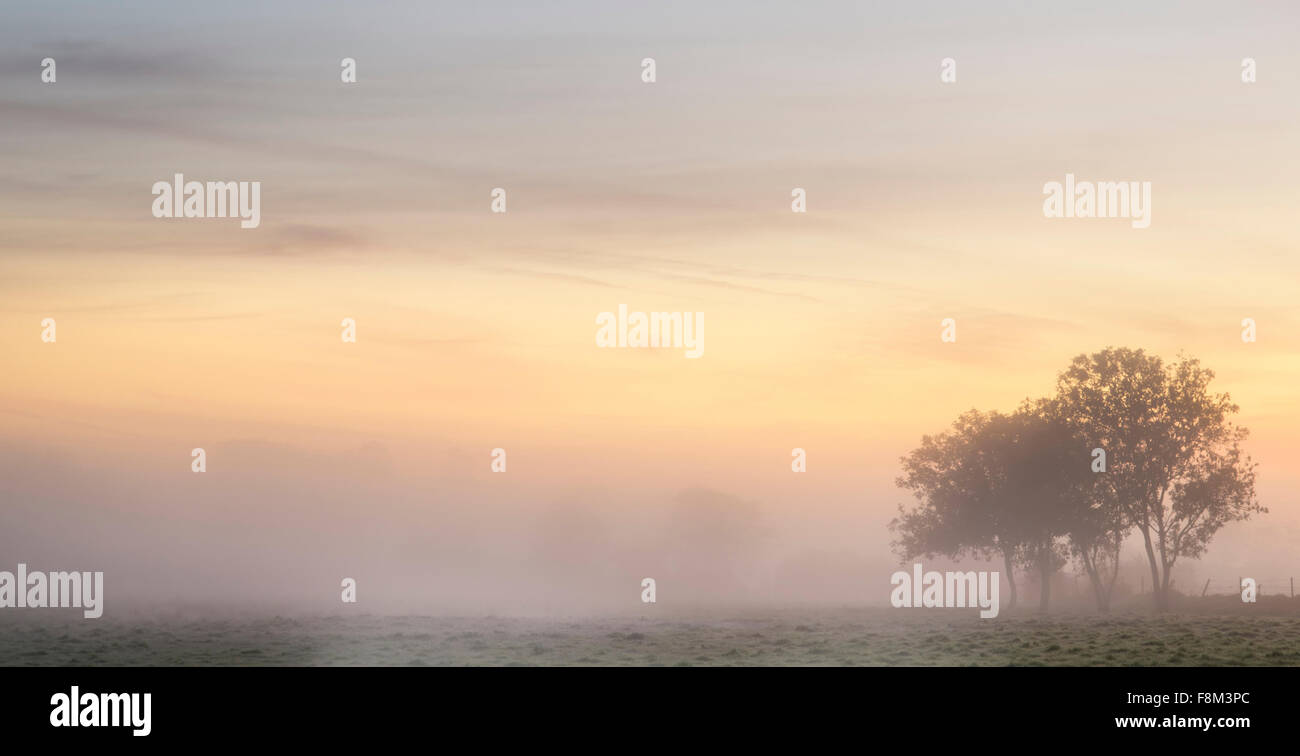 Stunning foggy Autumn sunrise English countryside landscape image Stock ...