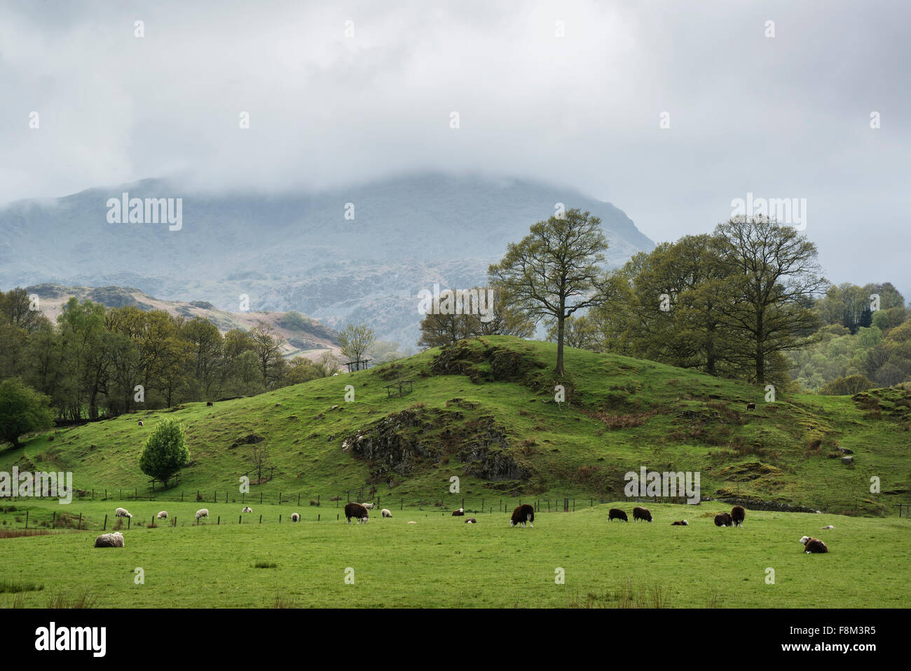 Lake District landscape with stormy sky over countryside and fells ...